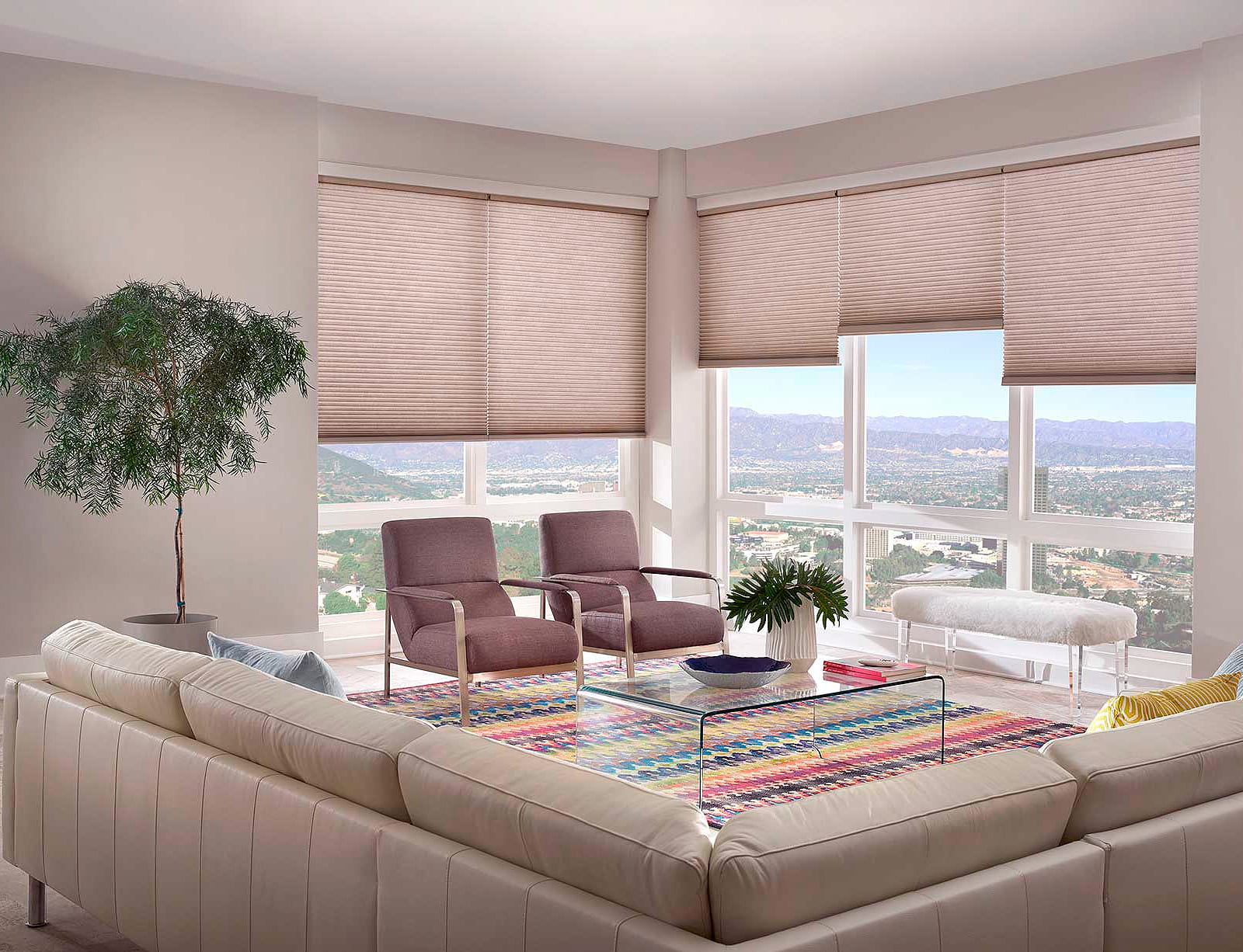 Cellular Shades - Blind Spot