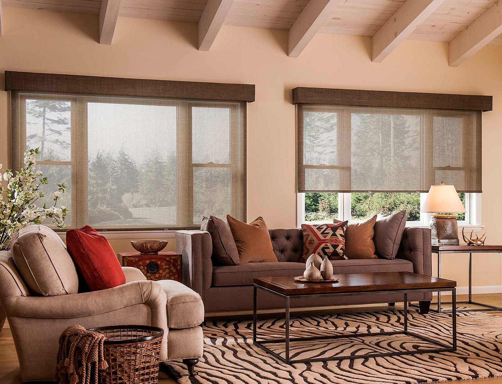 Solar & Roller Shades - Blind Spot