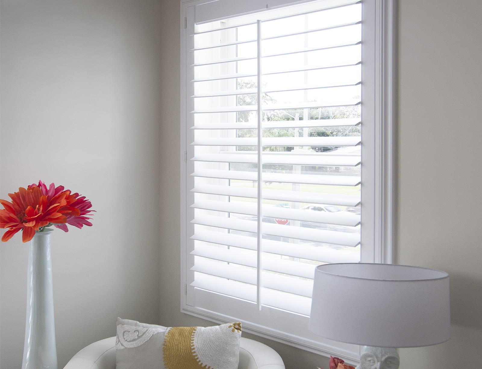 Shutters - Blind Spot
